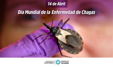 Se conmemora el Día Internacional de la Lucha contra la Enfermedad de