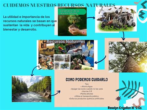 BIOLOGÍA LA CIENCIA DE LA VIDA Carteles sobre el cuidado de los