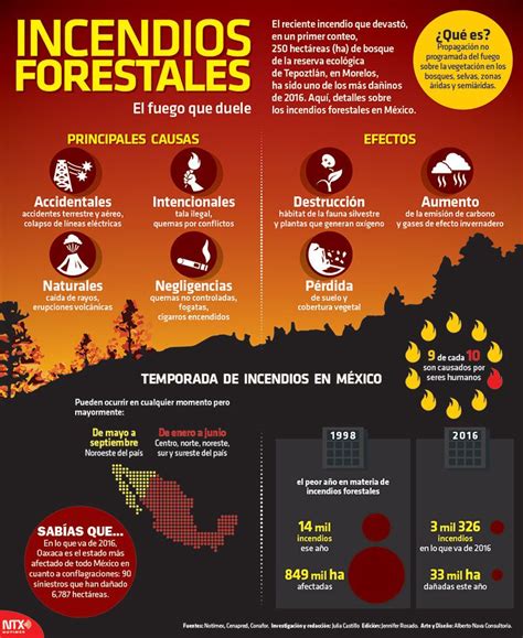 Sab Asque De Cada Incendios Forestales Son Causados Por Los Seres