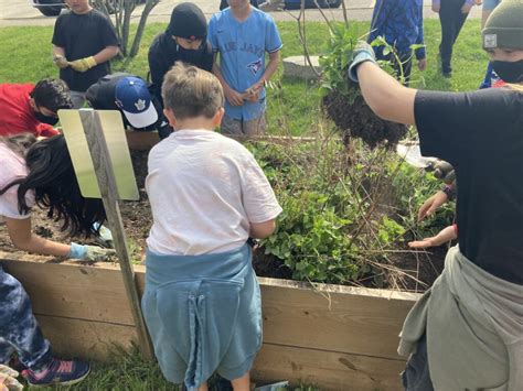 Pollinator Classroom Our Canada Project