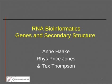 ppt rna bioinformatics genes and secondary structure dokumen tips