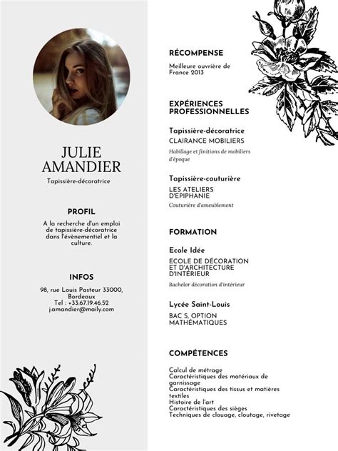Cv Aes Exemple Comp Tences Gratuit Pdf