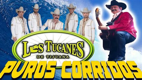 Para Tucancillos Y Tucancillas Los Tucanes De Tijuana Album Completo