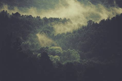 Fotos gratis paisaje árbol naturaleza bosque al aire libre