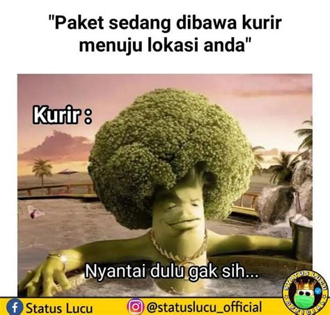 10 Meme Kocak Brokoli Santai Dulu Gak Sih