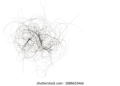 Pubic Hair Fall Isolated On White Stock Photo 2281198799 Shutterstock