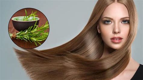 Cómo usar aceite de romero para el cabello Ser Zen