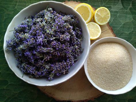Levandulový sirup recept připravte si výtečné osvěžení Bylinkovo cz