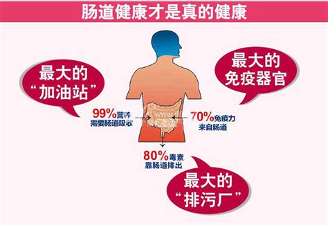 肠道是人的第二大脑肠道不老身体才年轻 搜狐大视野 搜狐新闻