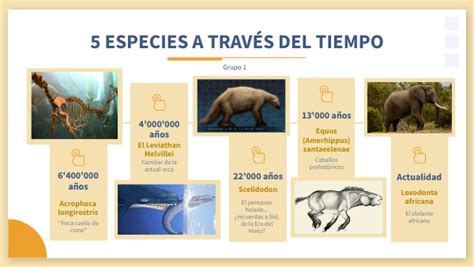 5 ESPECIES A TRAVÉS DEL TIEMPO