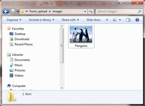 The World Of Php Form Upload Image