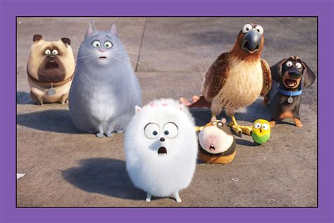 The Secret Life Of Pets Voice Cast See The Stars