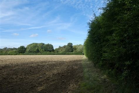 Hedgerow Beside The A64 DS Pugh Cc By Sa 2 0 Geograph Britain And