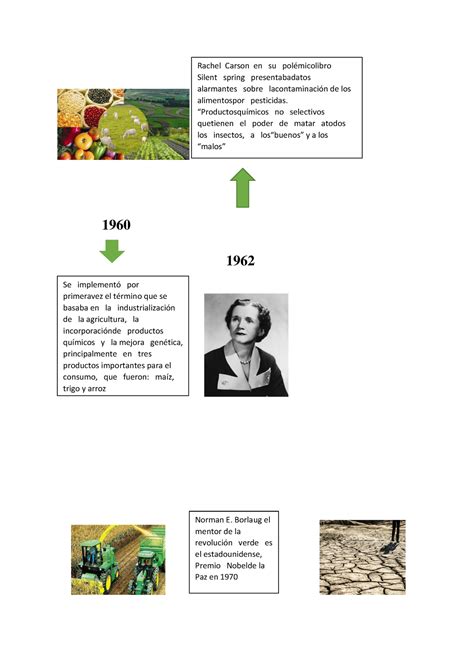 Infografia Revoluci N Verde Rachel Carson En Su