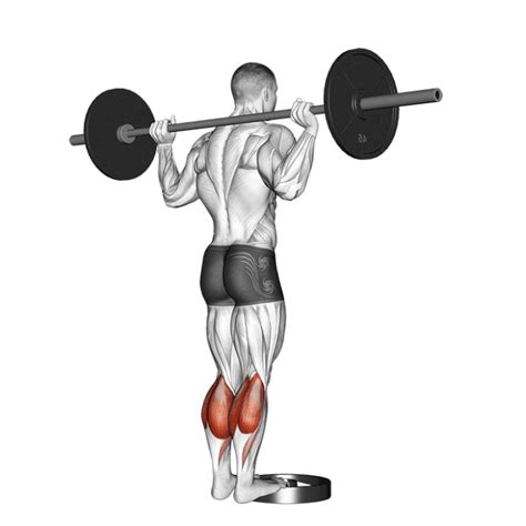 Top 5 Des Exercices De Mollets Muscler Les Mollets Par All Hot Sex