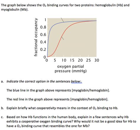 solved the graph below shows the o2 binding curves for two
