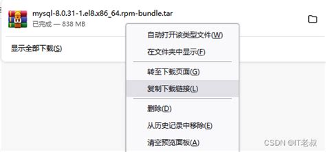 centos8系统下mysql8社区版安装（rpm） mysql8 centos下载 csdn博客
