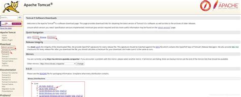 linux服务器部署tomcat（官网二进制发布版本） tomcat官网哪个是linux部署包 csdn博客