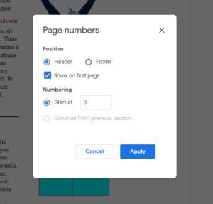 How To Add Custom Page Numbers In Google Docs Solve Your Tech