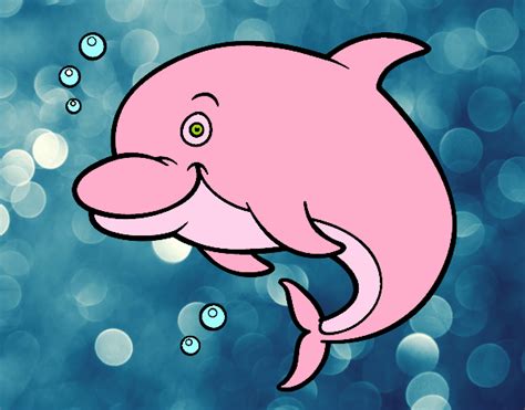 Desenho de Boto cor de rosa pintado e colorido por Usuário não