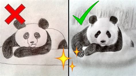 C Mo Dibujar Un Oso Panda Dibujos De Osos How To Draw A Panda