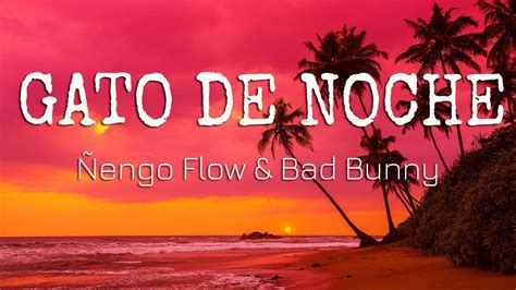Engo Flow Ft Bad Bunny Gato De Noche Letra Lyrics Youtube