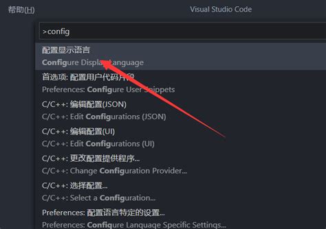 vscode没有完全汉化怎么办 vs code部分内容没汉化的解决办法 编程开发 软件教程 脚本之家
