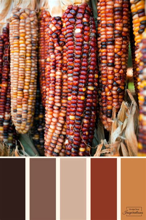 Brown Color Palette 25 Pairing Ideas Hex Codes Artofit