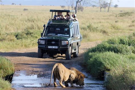Rwandas Big 5 Safari Destination Akagera National Park