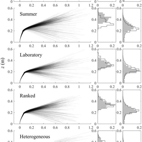 results of numerical models of flow‐seagrass interactions left download scientific diagram