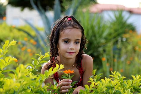 Les astuces pour aménager un jardin fonctionnel et esthétique Ajusto