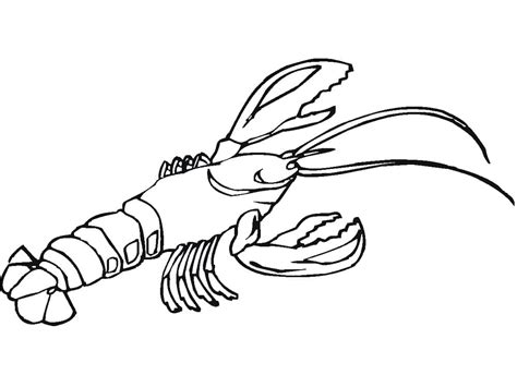 Desenhos De Lagosta 7 Para Colorir E Imprimir ColorirOnline