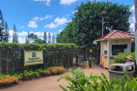 5 Pineapple Perfect Things To Do At Oahu S Dole Plantation