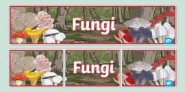 Fabulous Fungi Banner Teacher Made Twinkl