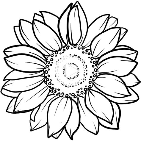 Sunflower Coloring Page Template Coloring Pages