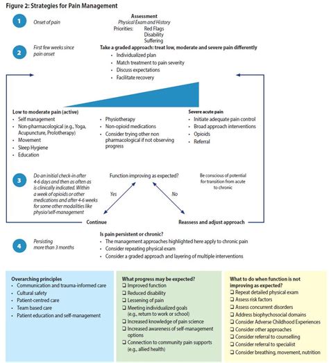 Chronic Post Surgical Pain Toronto Academic Pain Medicine Post Op