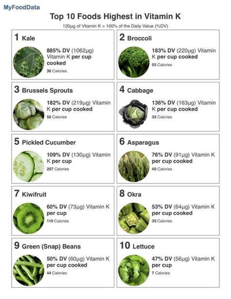Food Infographic Top 10 Foods Highest In Vitamin K Your Number One