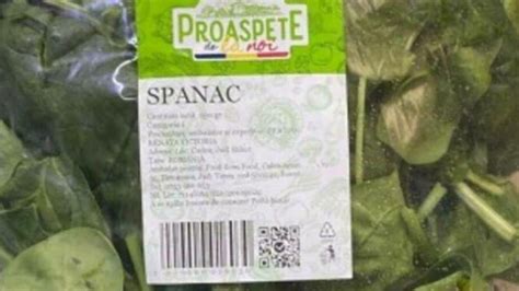 Newspascani Pa Cani T Rgu Frumos Ia I Spanac Contaminat Cu