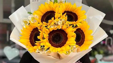 Significado de las flores amarillas es infidelidad por qué se