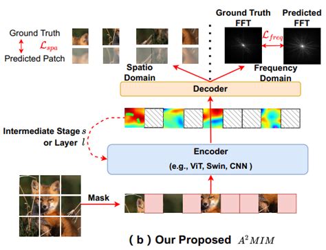 a2mim：与架构无关的掩码图像建模——从vit回到cnn 知乎