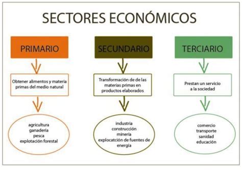 Realice Un Cuadro Comparativo Sobre El Sector Primario En El Ecuador Y