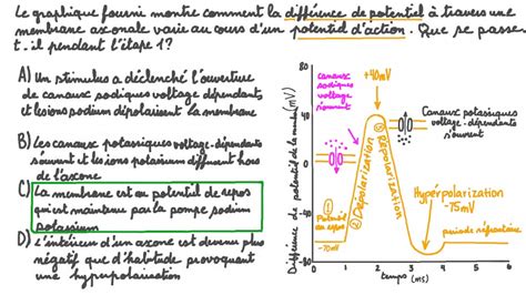 Vidéo question Rappeler comment la différence de potentiel varie au