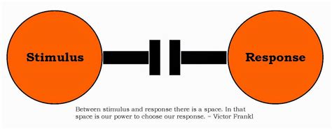Stimulus And Response Examples