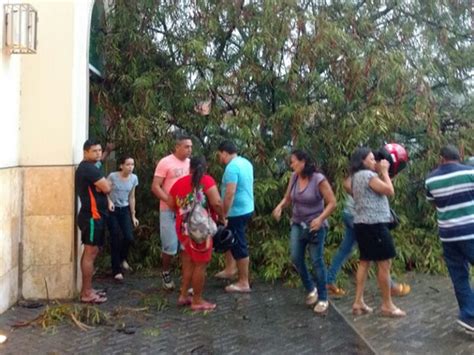 G1 Chuva E Vento Forte Causam Estragos Em Diversos Bairros De