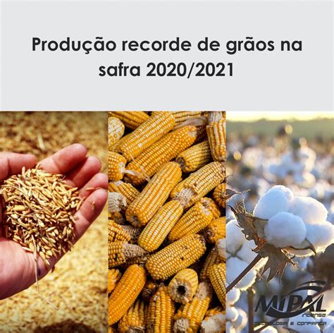 Produção recorde de grãos na safra 2020 2021 Mipal Evaporadores e