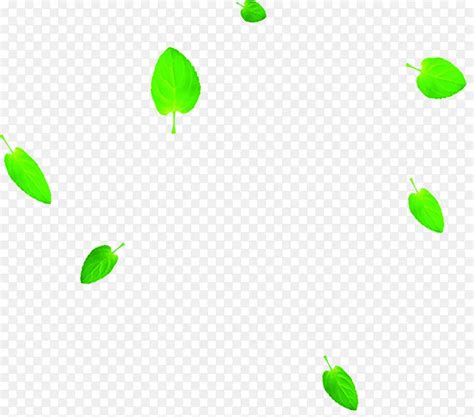 夏日植物绿色飘扬叶子PNG图片素材下载 图片编号yvmbjjpg 免抠素材网