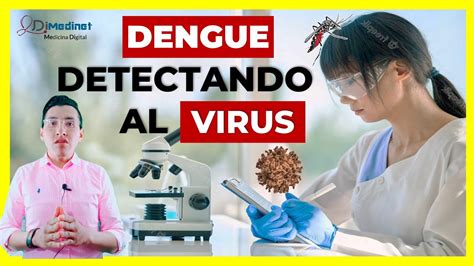 DIAGNÓSTICO DE DENGUE CÓMO SABER SI TIENES DENGUE YouTube