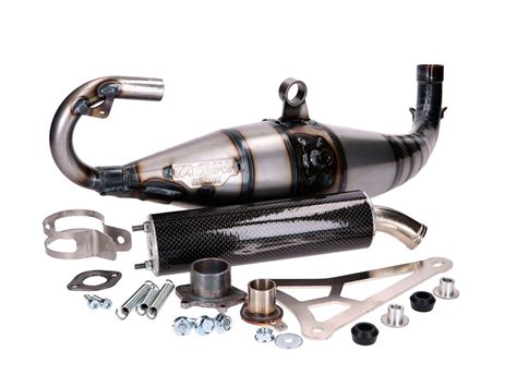 Pot D Chappement Yasuni Carrera Carbone Scooter Racing Pour