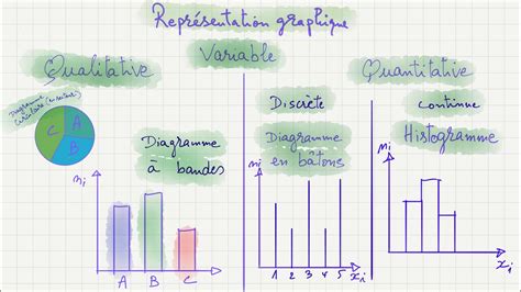 Les représentations graphiques selon les types de caractères