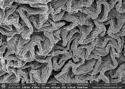Scanning Electron Microscopy Materials Research Institute